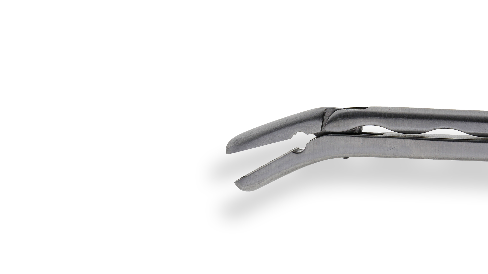 Ronguers - Angled 30° Down 3mm x 10mm jaw, Stainless Steel,