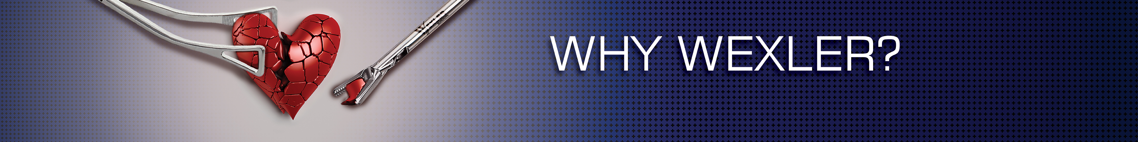 WhyWexler PageBanner